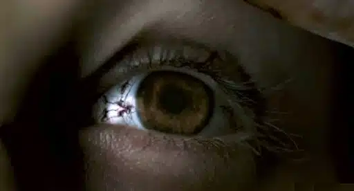 28 Weeks Later: Revisiting This Cult Horror Film
